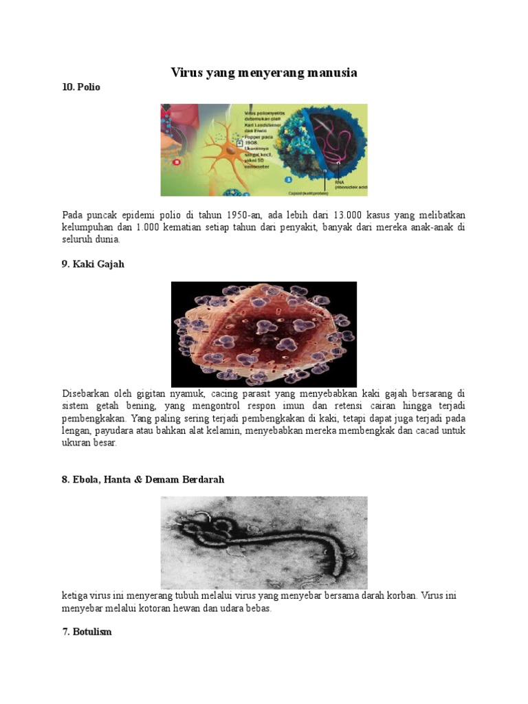 Virus Yang Menyerang Manusia, Hewan Dan Tumbubuhan | PDF