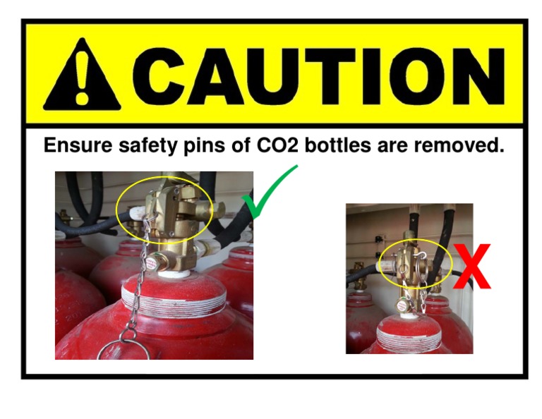 Ensure Safety Pins of CO2 Bottles Are Removed | PDF