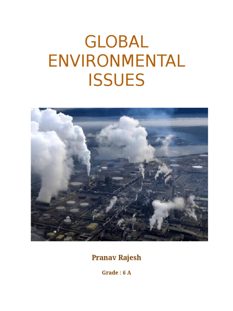 Global Environmental Issues: Pranav Rajesh | PDF | Ecology | Human ...
