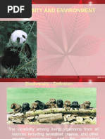 A Brief History of GIMP | PDF | Free Software | Software Development