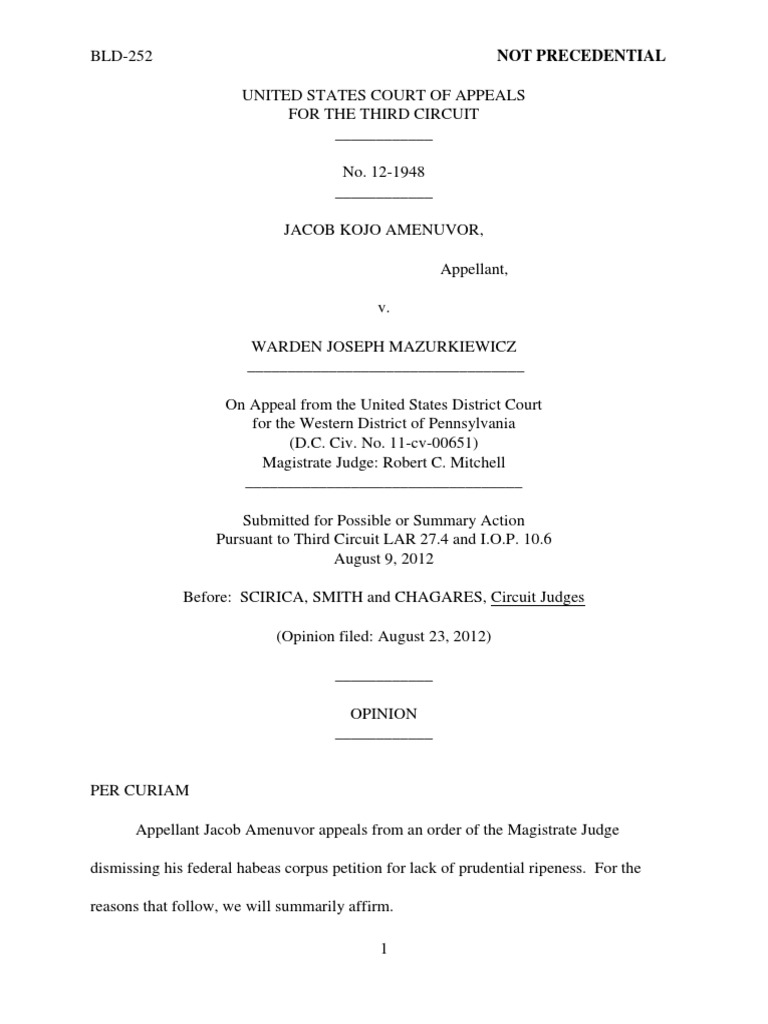 Not Precedential | PDF | United States District Court | Remand (Detention)