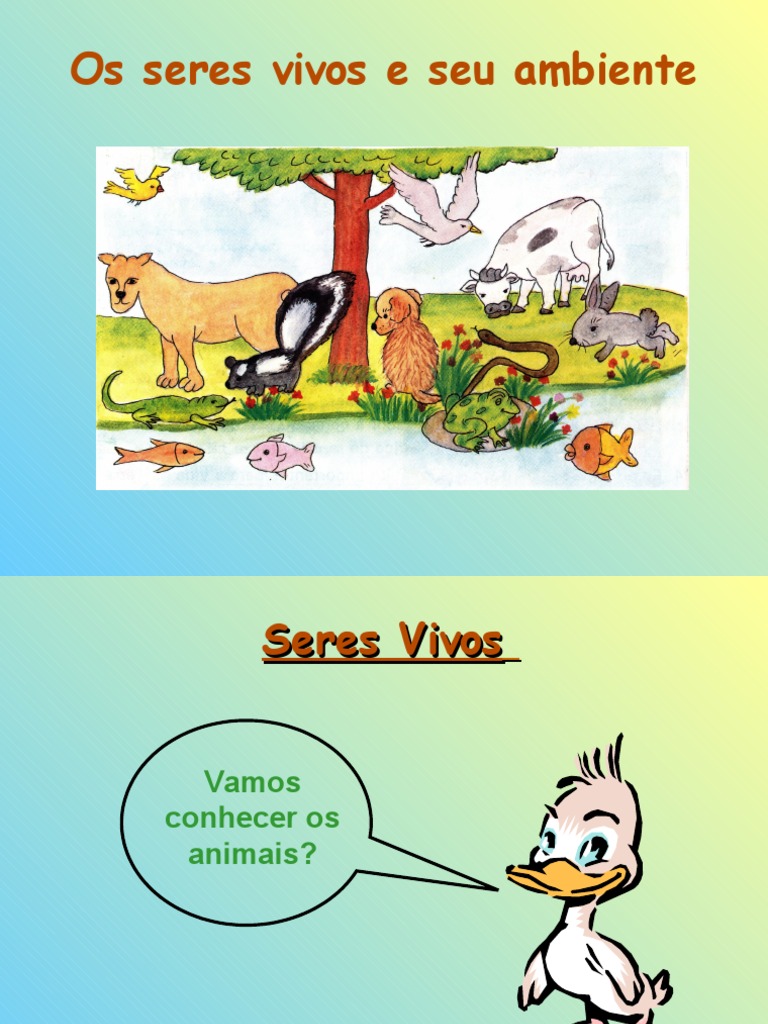 Os Seres Vivos e Seu Ambiente