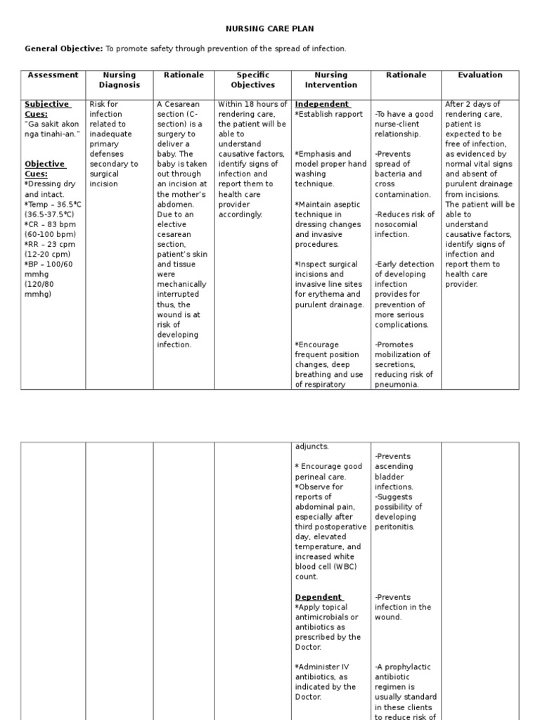 Nursing Care Plan General Objective: To Promote Safety Through ...