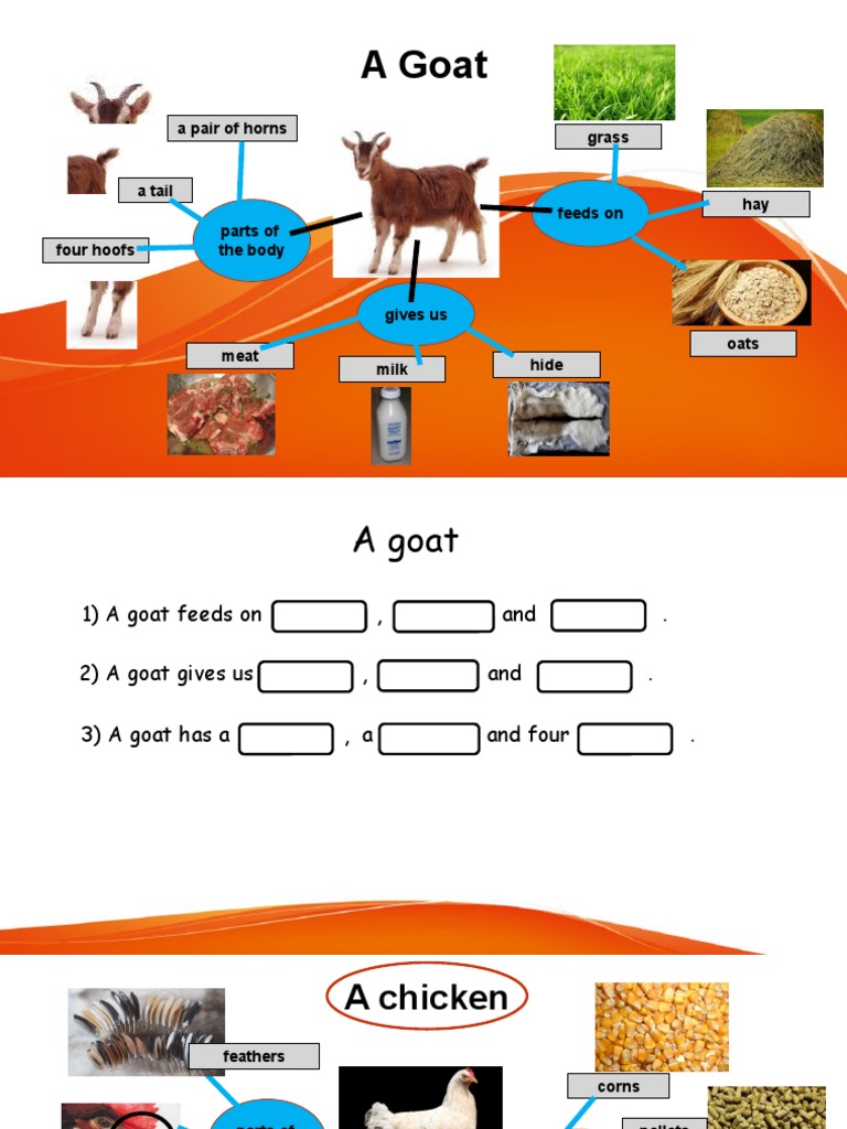 The Key Characteristics and Uses of Goats and Chickens: A Comparison ...