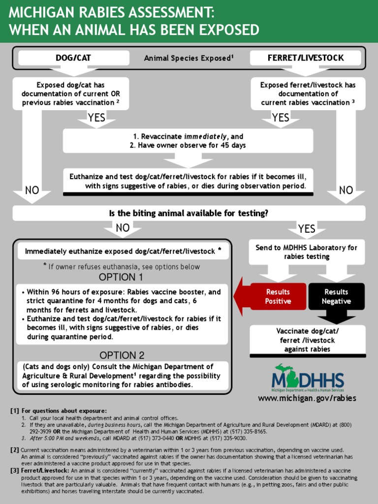 Rabies contact flowchart for animals | Rabies | Dogs | Free 30-day ...