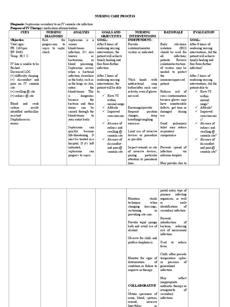 Septicemia NCP | PDF | Sepsis | Intravenous Therapy