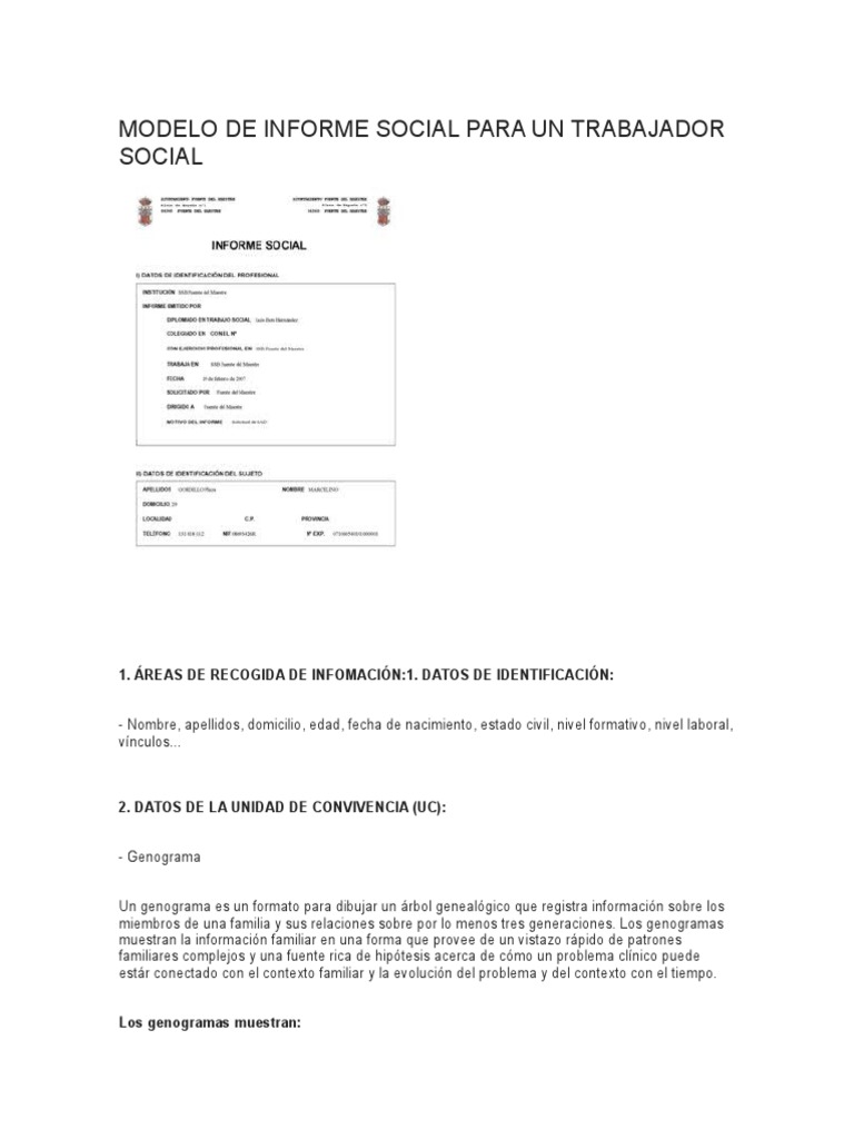 Modelo de Informe Social para Un Trabajador Social | PDF | Trabajo ...