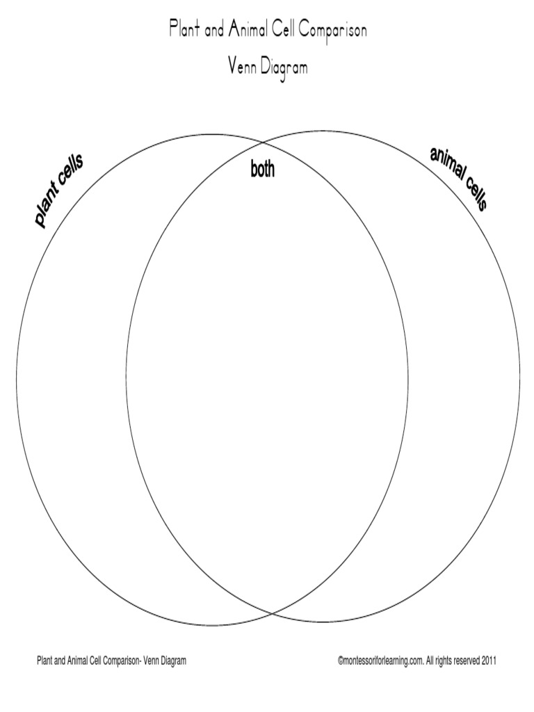 Plant and Animal Cell Comparison-Venn Diagram | PDF