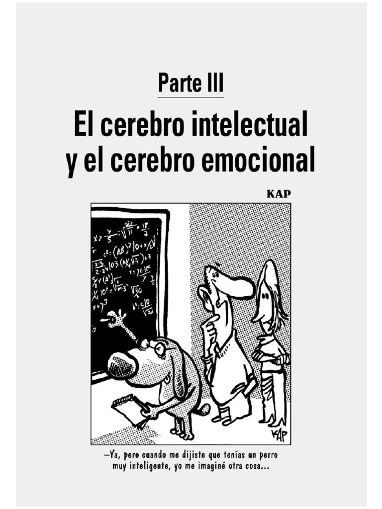 Funciones Ejecutivas del Cerebro | PDF | Funciones ejecutivas | Lóbulo ...