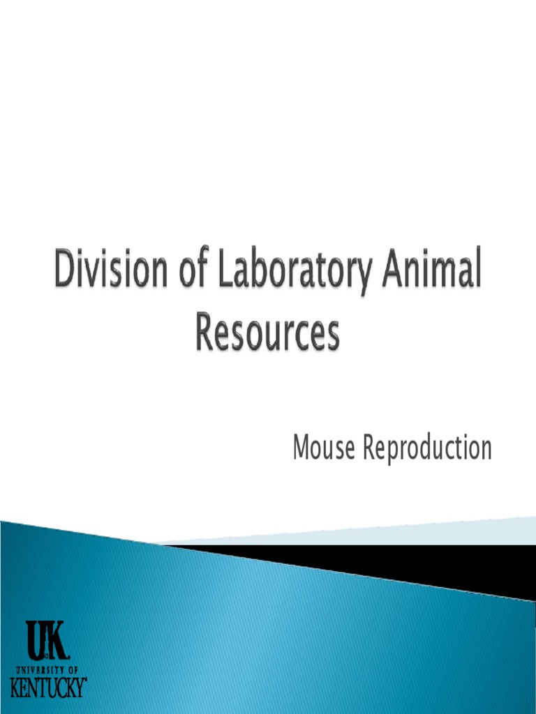 Mousereproduction412 23 11ppt | PDF | Weaning | Mouse