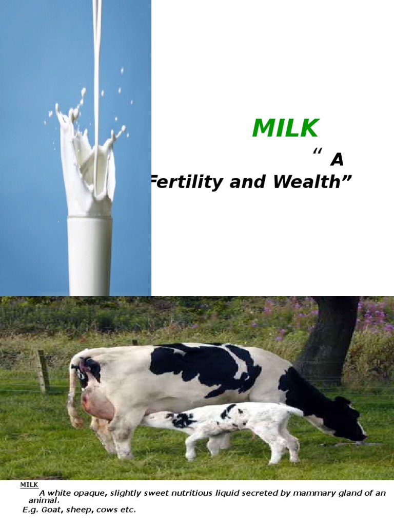 PP Milk | PDF | Milk | Dairy Products