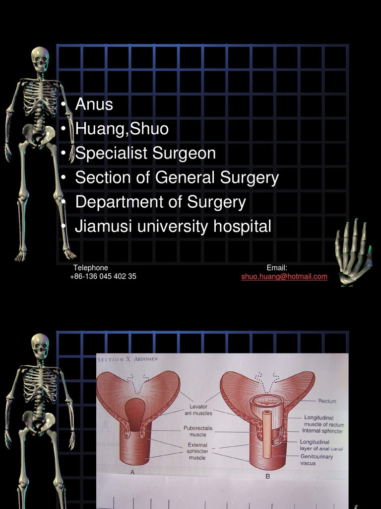 Anus Chapter Sabiston Surgery | PDF | Hemorrhoid | Gastroenterology