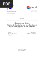 Processus de Fabrication Boissons Gazeuses | PDF | Coca Cola | Boisson