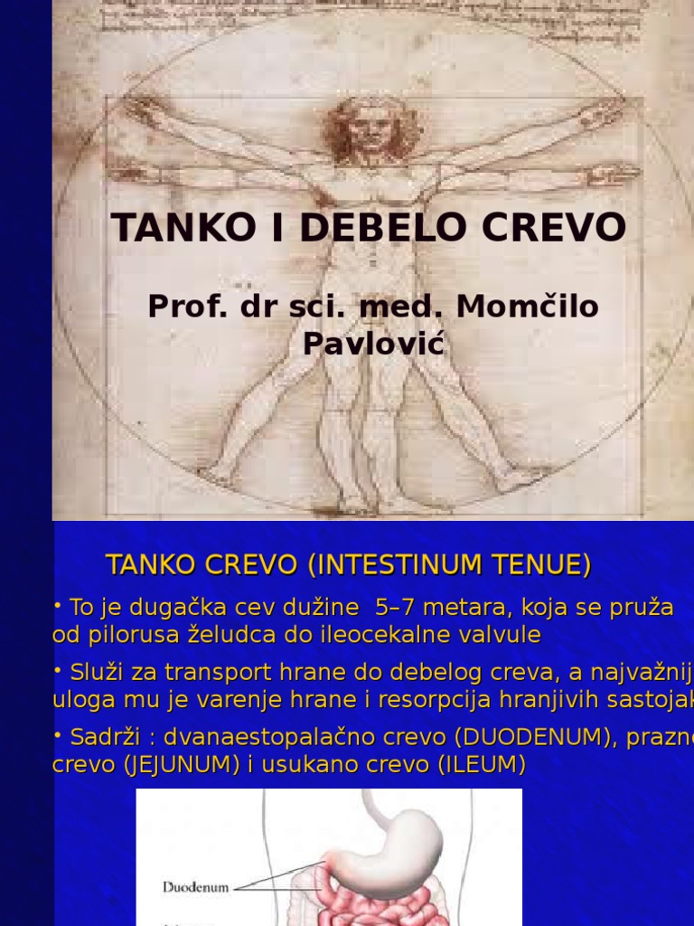 Tanko I Debelo Crevo | PDF