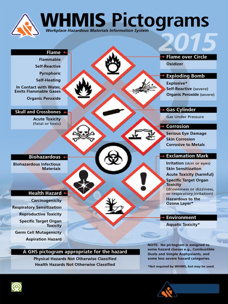 A Guide to WHMIS Pictograms: Understanding the Visual Symbols that ...
