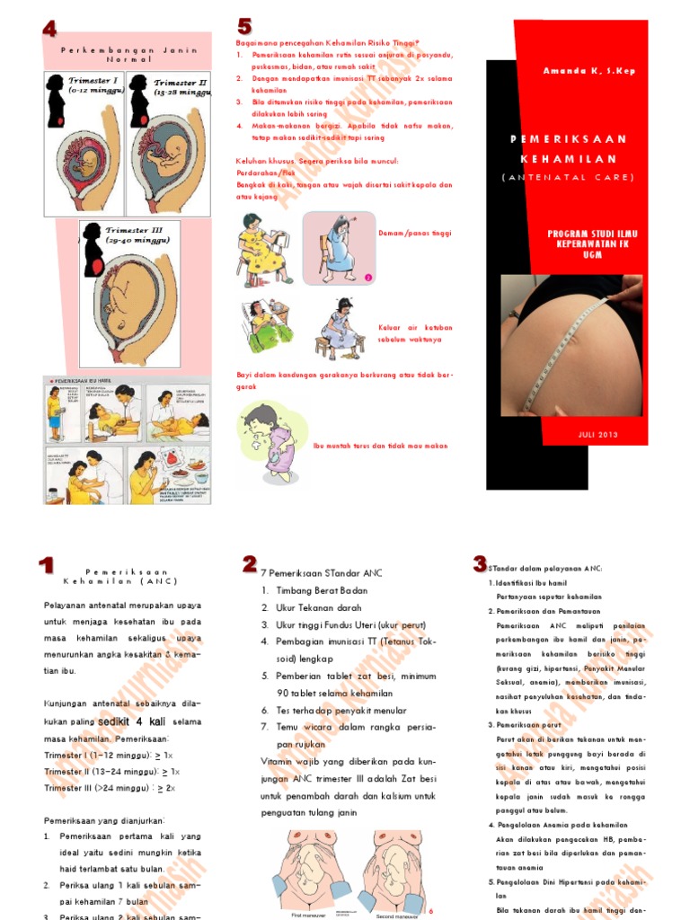 PDF Leaflet ANC | PDF