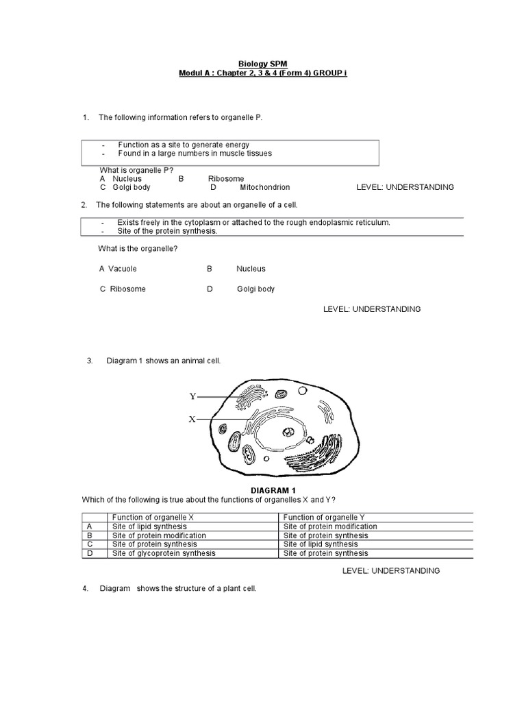 Biology SPM Modul A: Chapter 2, 3 & 4 (Form 4) GROUP I | PDF | Lipid ...