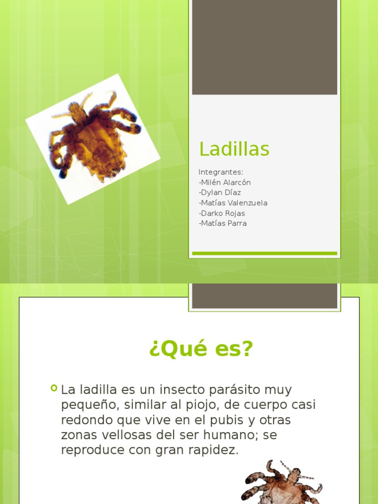 Ladillas | PDF