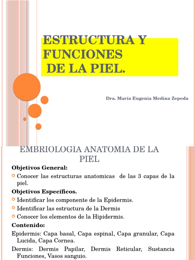 Estructura y Funciones de La Piel | PDF | Piel | Epidermis
