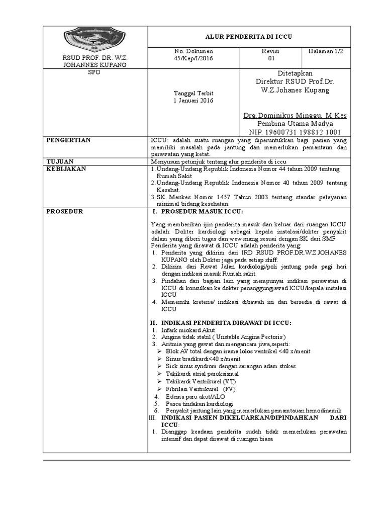 Alur Pasien ICCU RSUD Johannes | PDF