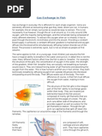 Fish Circulatory System Overview | PDF | Blood | Vein