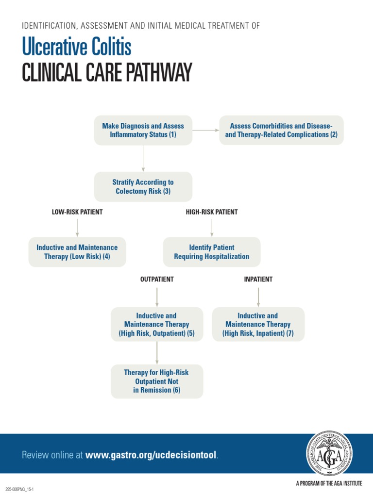 Ulcerative Colitis Care Pathway | PDF