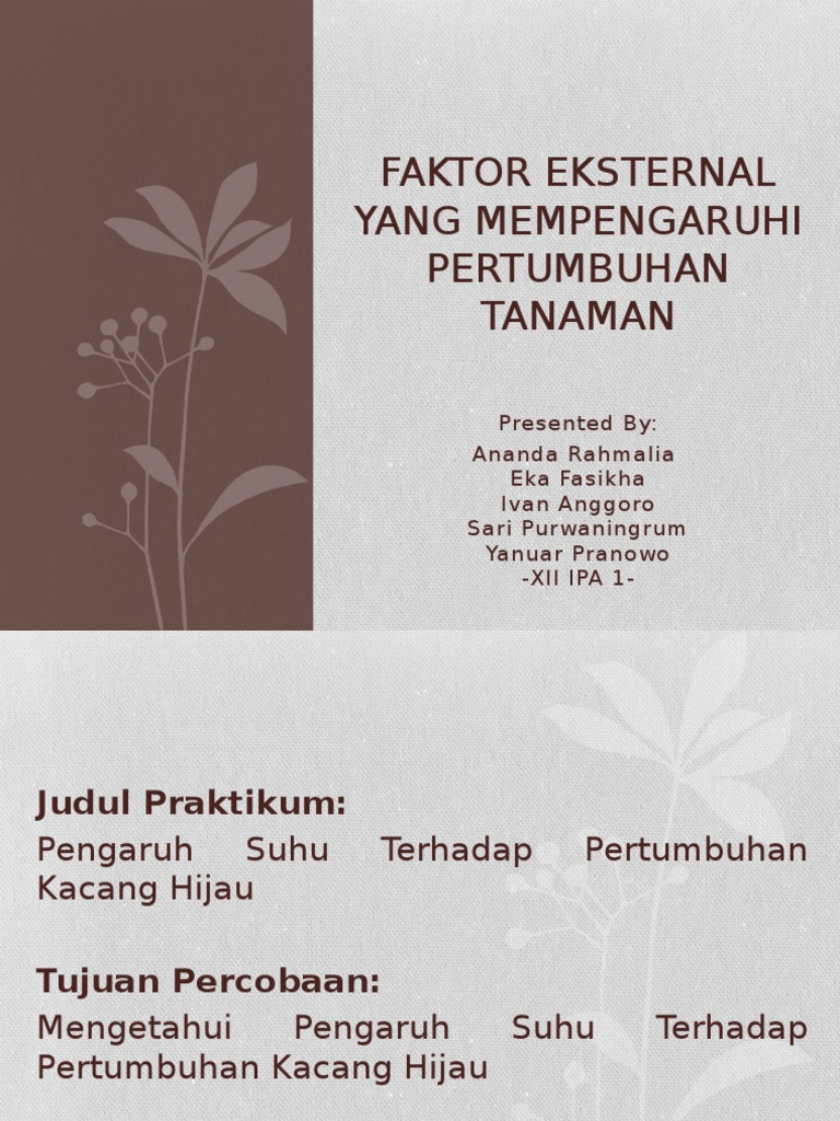 Faktor Eksternal Yang Mempengaruhi Pertumbuhan Tanaman | PDF Faktor Eksternal Yang Mempengaruhi Pertumbuhan Tanaman | PDF