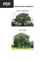 Halamang Dahon | PDF