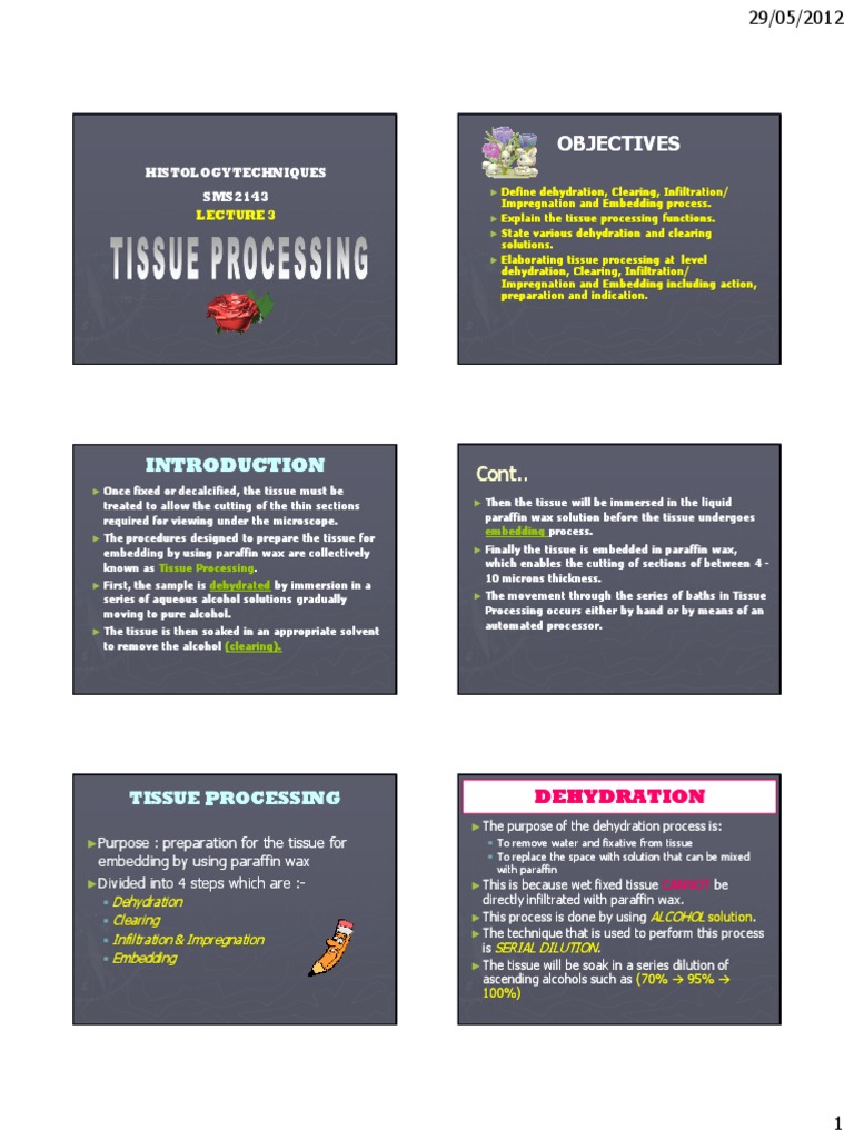 Tissue Processing Pdf Histology Applied And Interdisciplinary Physics