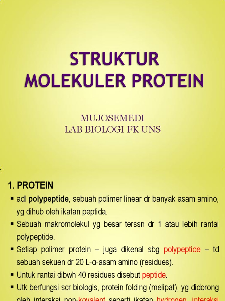 Protein Structure 2011 | PDF | Science & Mathematics