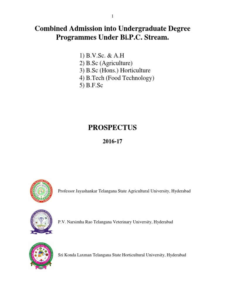 Propectus For UG Updated PDF | PDF | Social Science