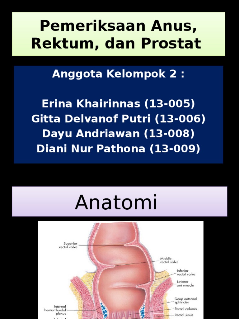 Pemeriksaan Anus, Rektum, Dan Prostat | PDF