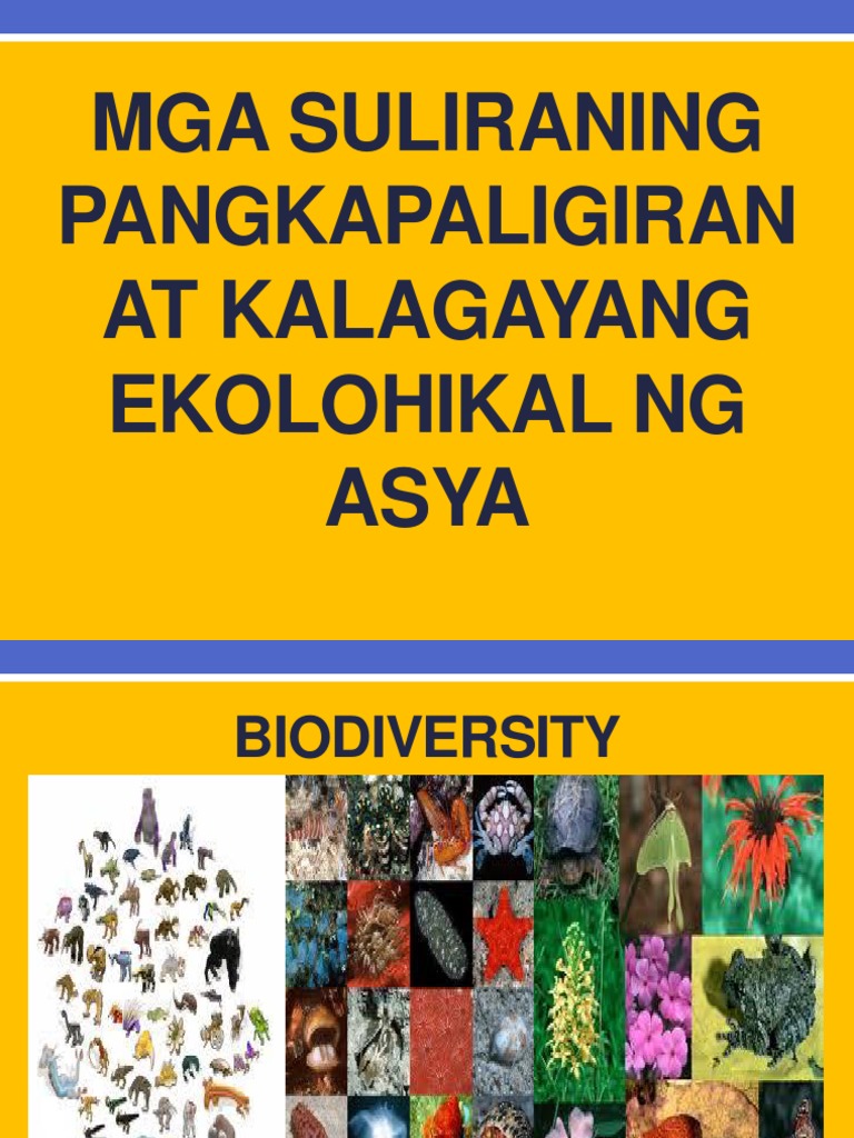 Mga Suliraning Pangkapaligiran | PDF