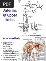 Mediastinum Trachea Radix Pulmonis Slajdovi Anatomija Medicina | PDF