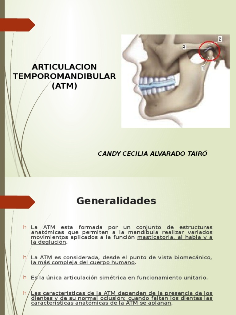 BIOMECANICA DE LA ATM.pptx | Sistema musculoesquelético | Anatomía humana
