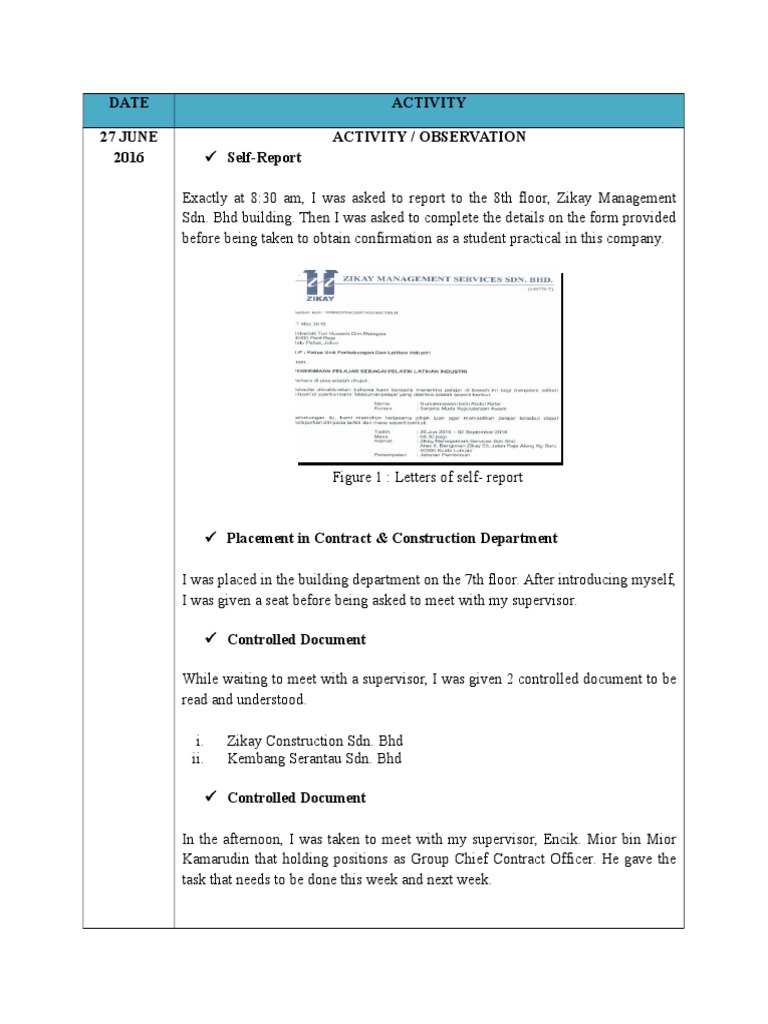 27 June 2016 Activity / Observation Self-Report | PDF
