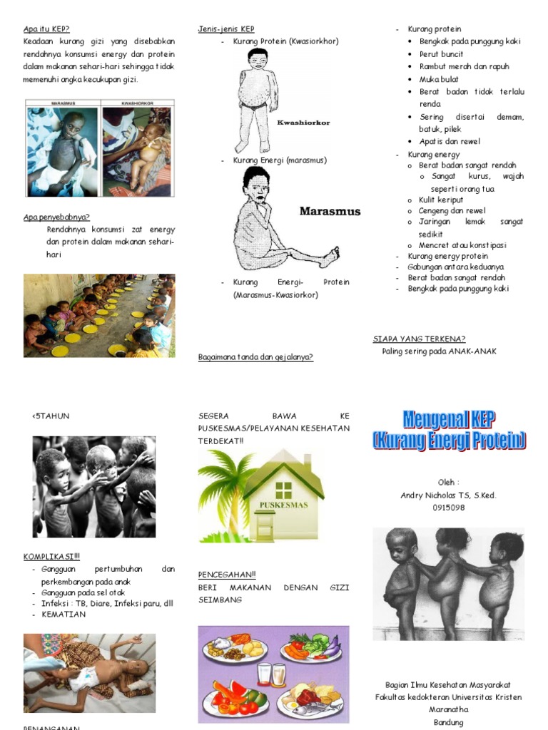 Leaflet Kep | PDF