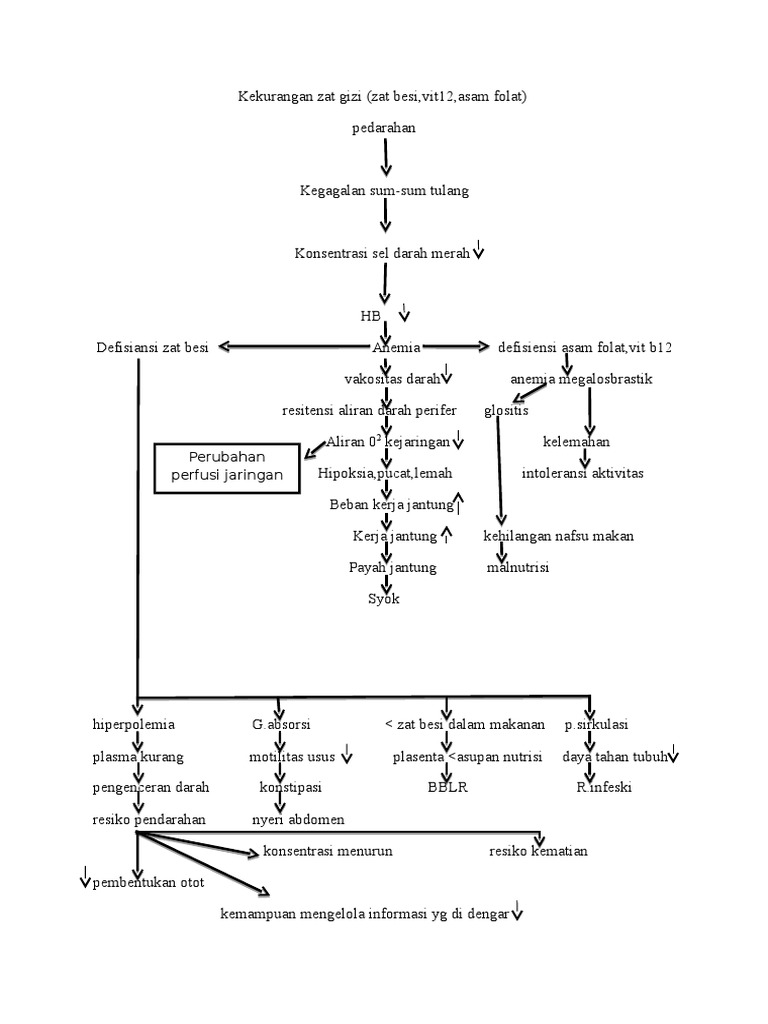Pathway Anemia Gravidarum | PDF | Kesehatan Holistik