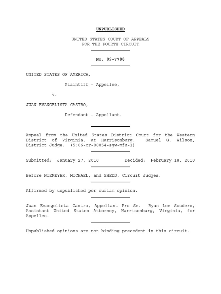 Appeal Affirmed: United States v. Castro | PDF | Social Science