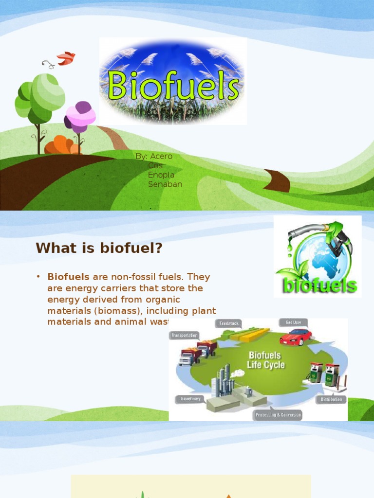 Biofuels Powerpoint | PDF | Biofuel | Diesel Engine