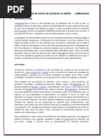 Ciclo de Vida de la Vaca para Niños | PDF | Vacas | Leche