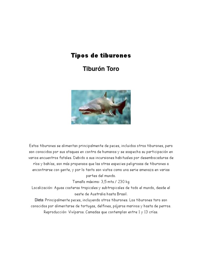 Tipos de Tiburones | PDF | Tiburones | Gran tiburón blanco