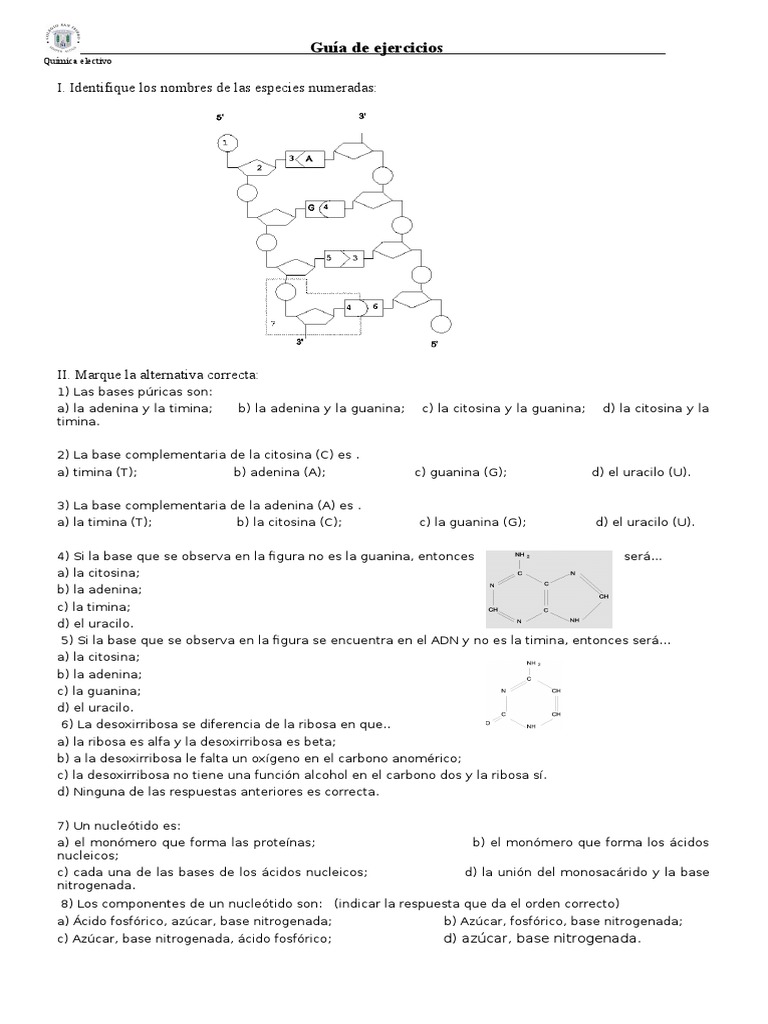 Ejercicios sobre Ácidos Nucleicos | PDF | Ácidos nucleicos | Adn