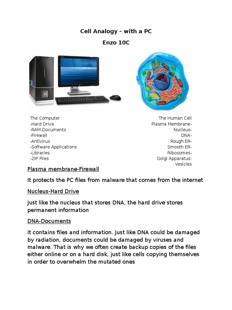 Cell Computer Analogy-Enzo | PDF