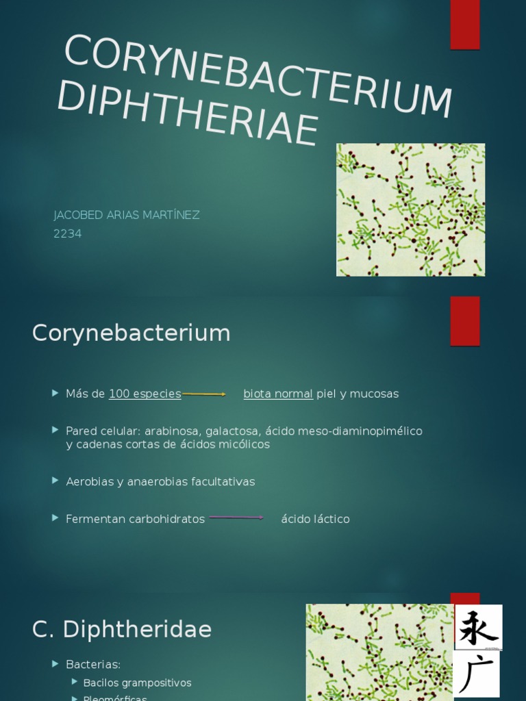 CORYNEBACTERIUM DIPHTHERIAE | Inmunología | Ciencias de la tierra y de ...
