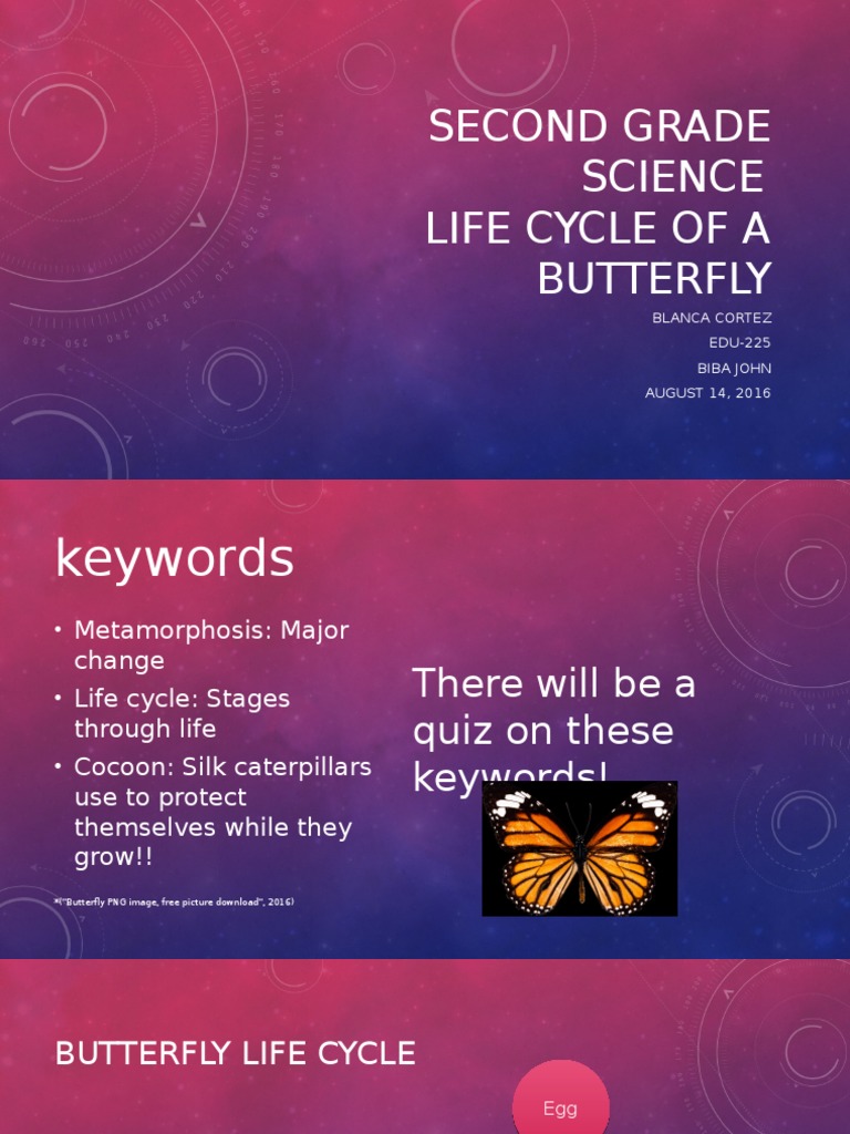 Butterfly Life Cycle for Second Graders | PDF