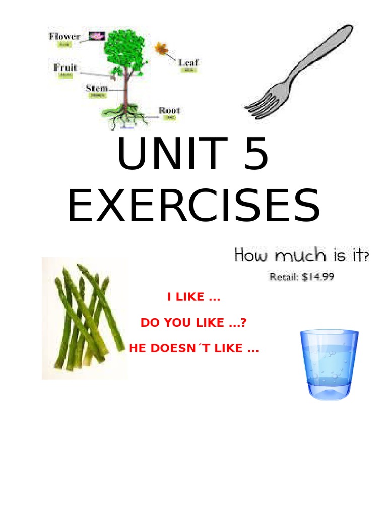Unit 5 Exercises: Ilike Do You Like ? He Doesn T Like | PDF