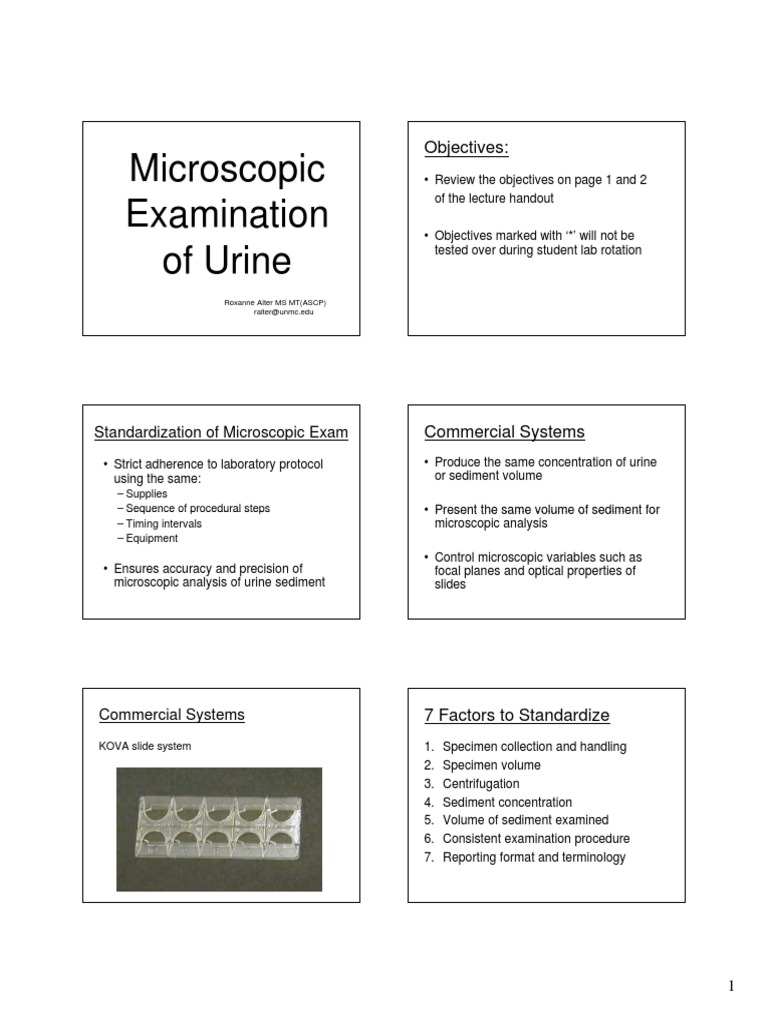 Microscopic Examination of Urine Lecture | PDF | White Blood Cell | Red ...