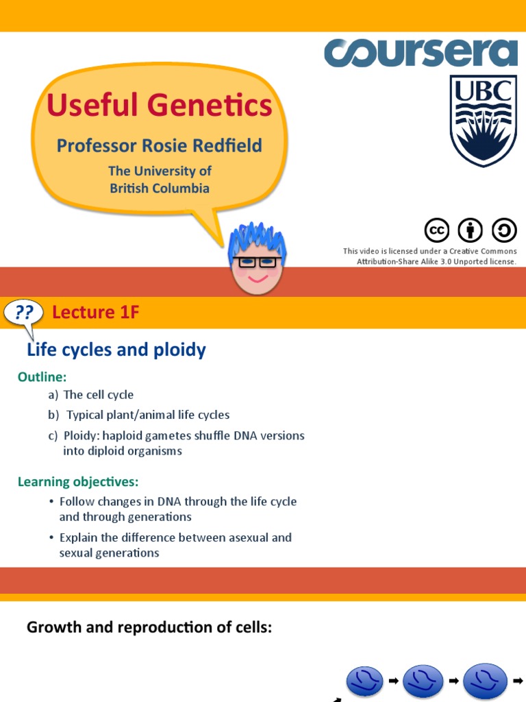 Slides Module01 UsefulGeneticsLecture1F-Slides | PDF | Ploidy | Reproduction