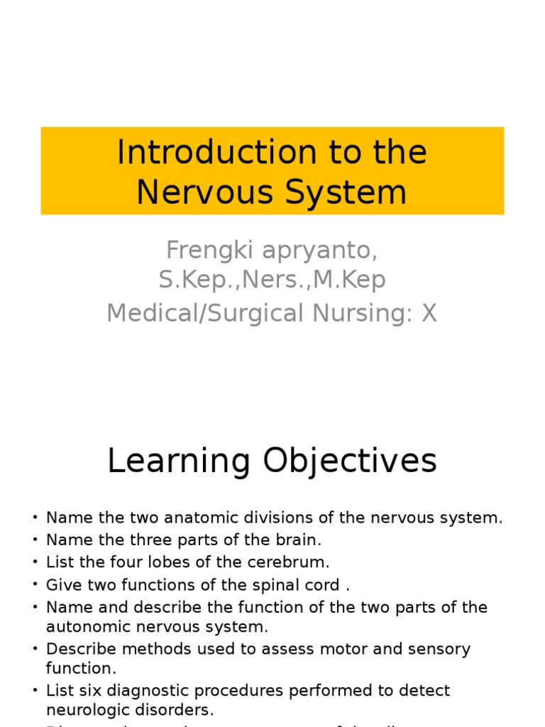 #1 Introduction To The Nervous System | PDF | Central Nervous System ...